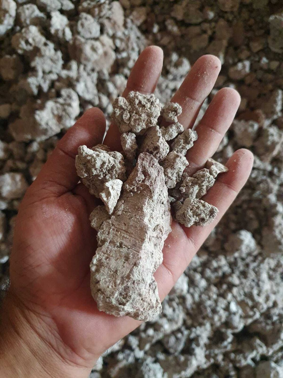 Calcium Bentonite Suppliers in Pakistan | Calcium Bentonite Powder